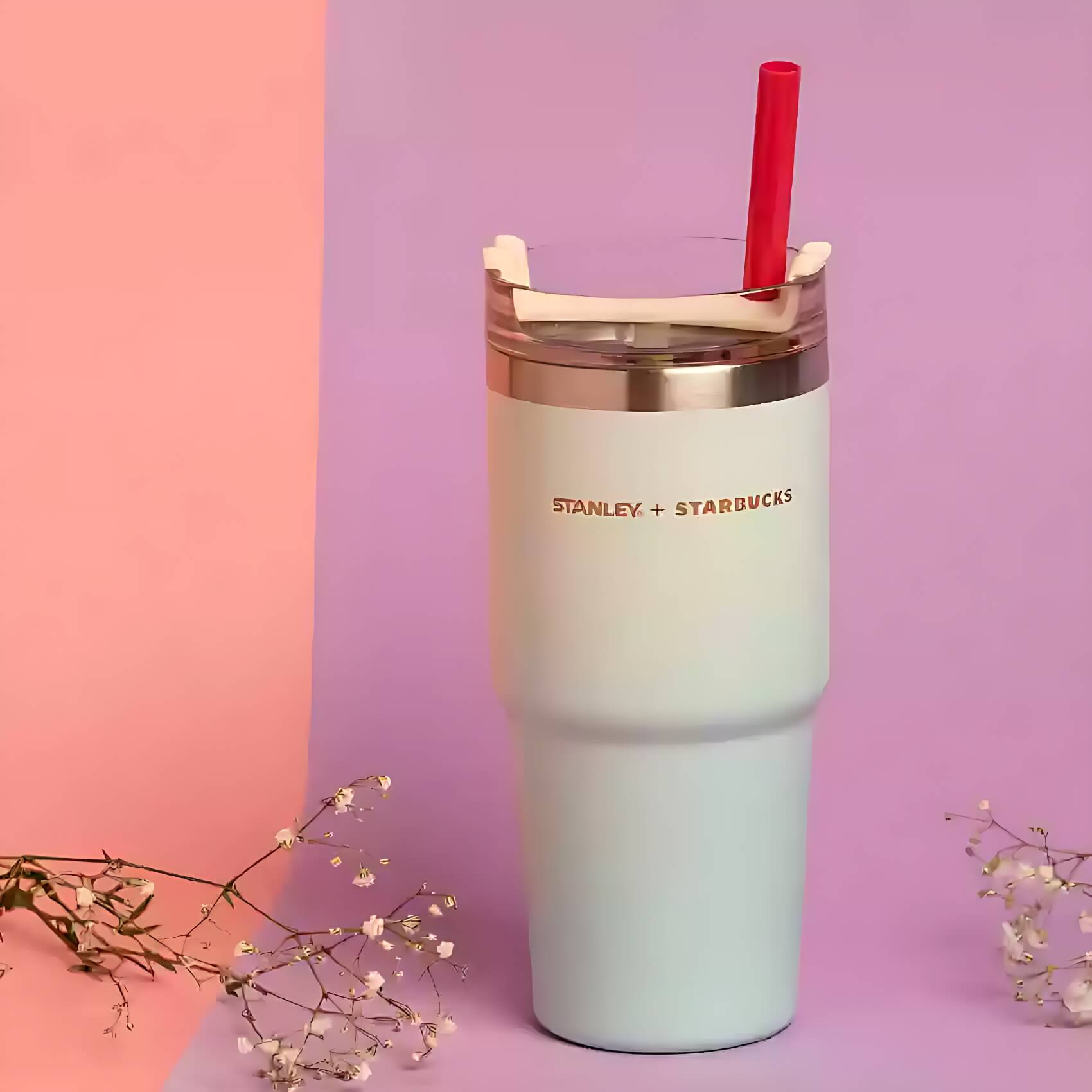 Did Stanley Do a Collab with Starbucks? Find Out Here!