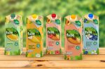 Fuze Tea and Caffeine: What You Need to Know